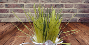 Jamara is a mix of Seeds & Grains for dashain - KTM STORES LTD